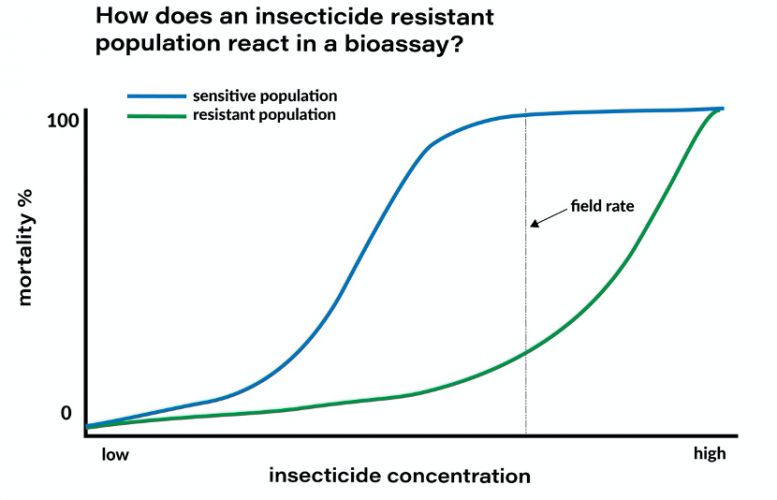 Testing has found no insecticide resistance in lucerne flea populations ...