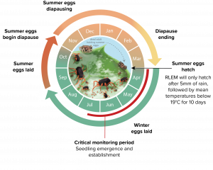 redlegged earth mite lifecycle seasonality Halotydeus destructor ...