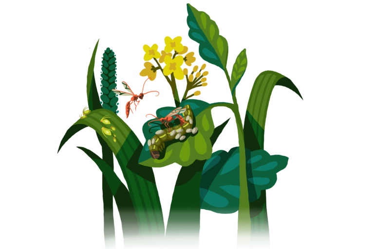 Cesar Australia – A thriving world through science and education