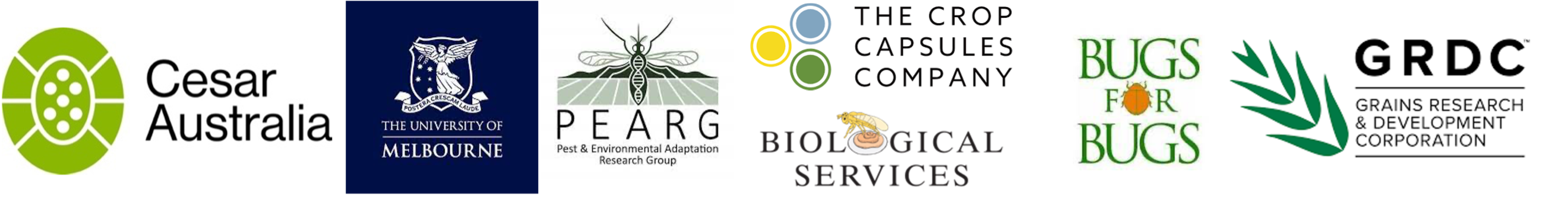 Current projects – Cesar Australia