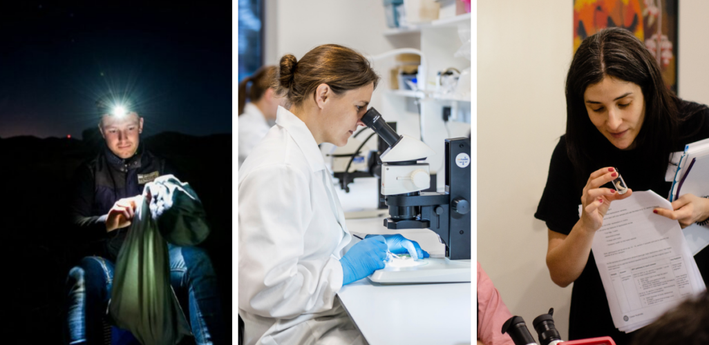 About – Cesar Australia