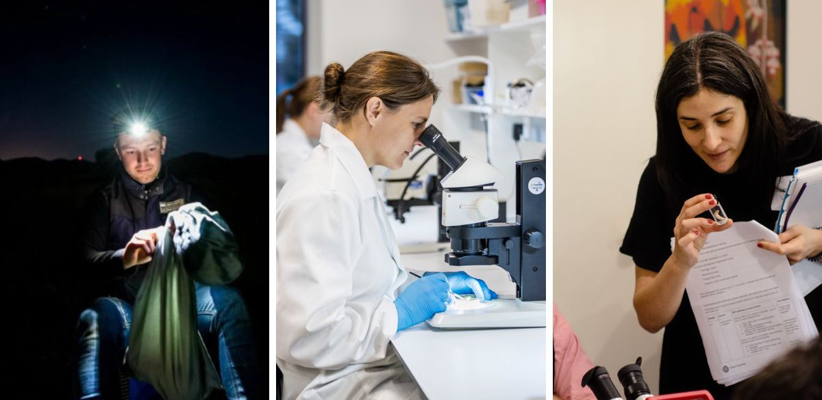 About – Cesar Australia